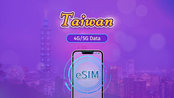 Taiwan Plug Adapters: Guide to Taiwan Plug Types & Power | Trip.com