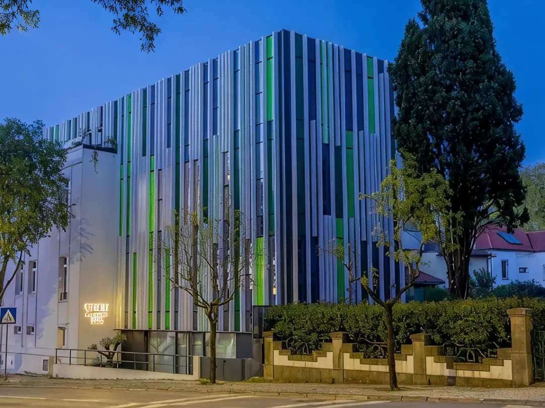 Viseu Executive Hotel - Viseu District