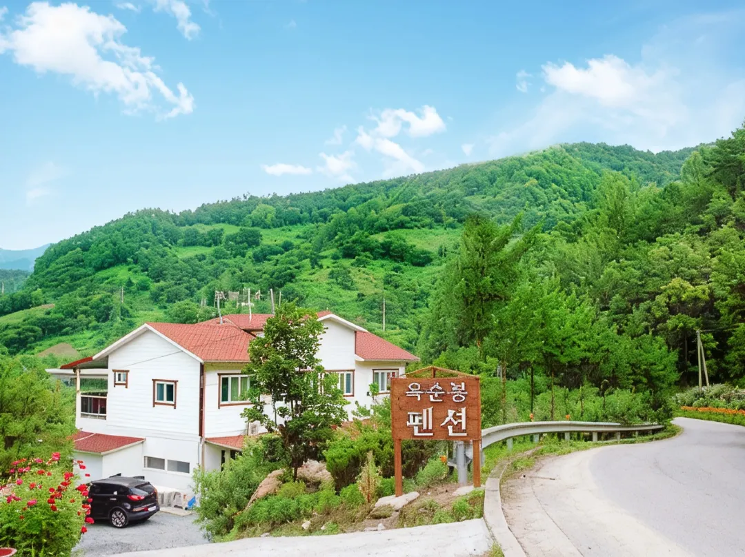 Jecheon Oksunbong Pension - Gumi-si