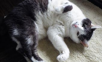 2026 Updated Prices, Deals & Reviews | Trip.com