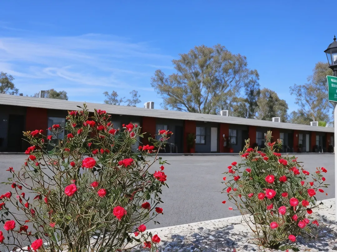 Seymour Motel - Seymour