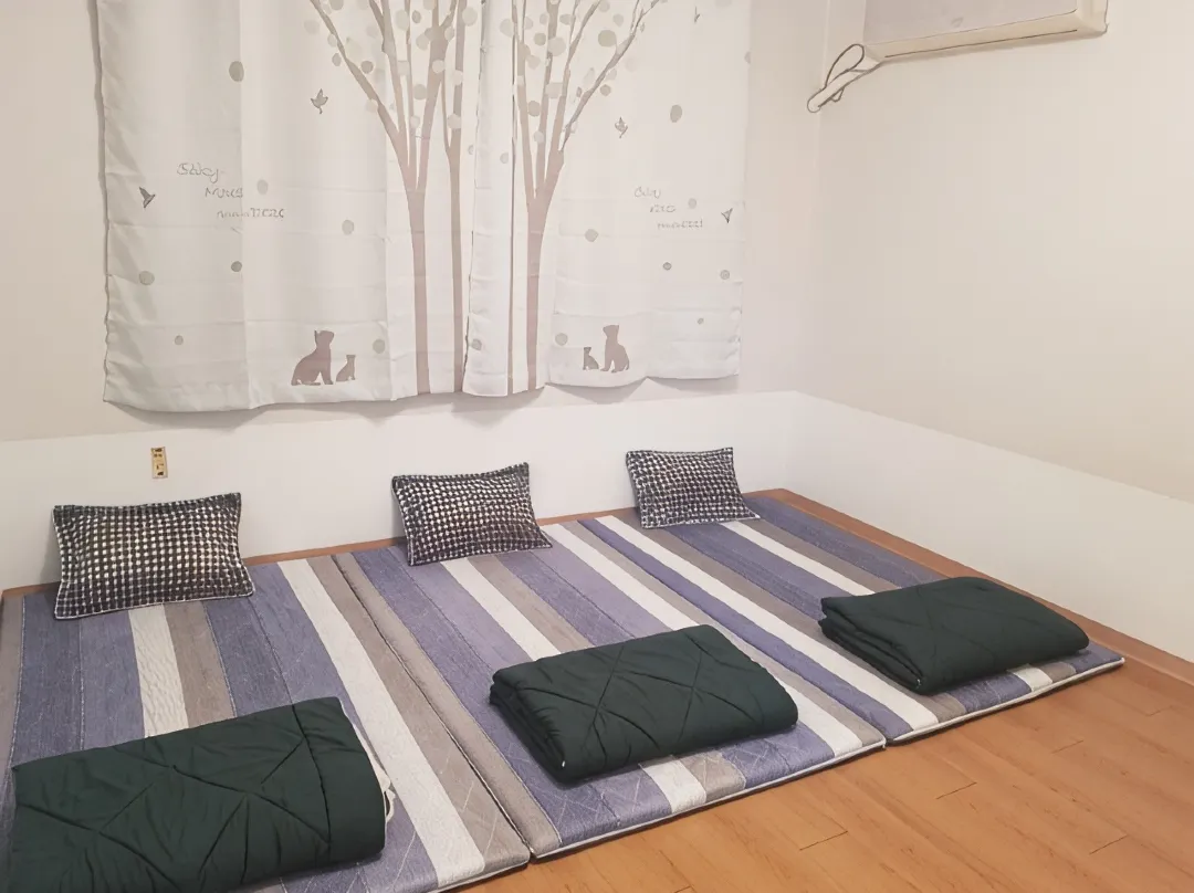 Paju Seashell - Paju-si