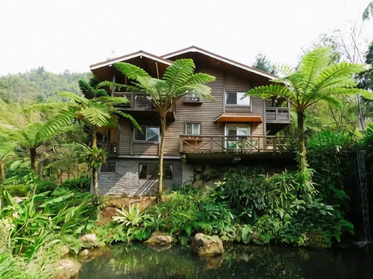 Shin Ming Shan - Alishan Township