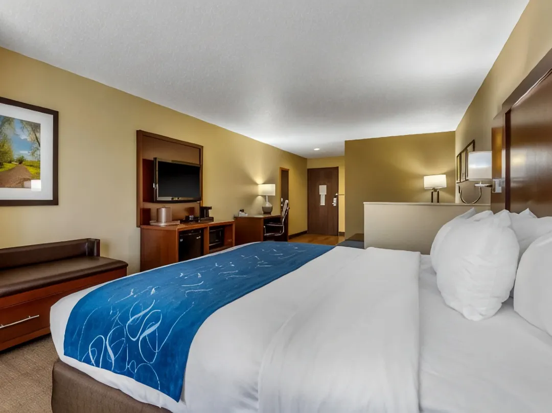 Comfort Suites - Cedar Falls, IA