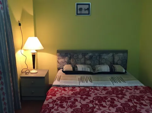 Dandelion @ Desa Anthurium - Tanah Rata