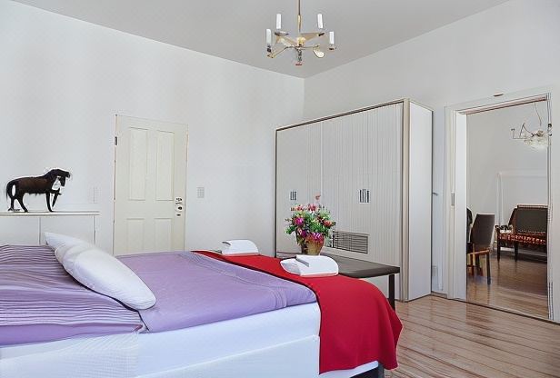 Old Vienna Apartments - Wenen