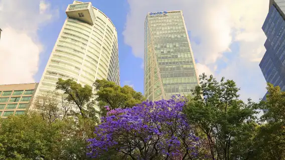 Ciudad de México: City Tour en autobús turístico con pase de 1 día de ...
