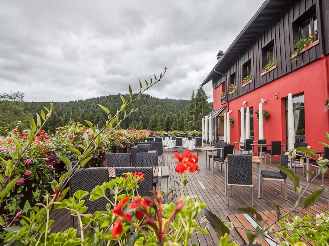 Hôtel Restaurant Spa Les Jardins De Sophie - Xonrupt-Longemer