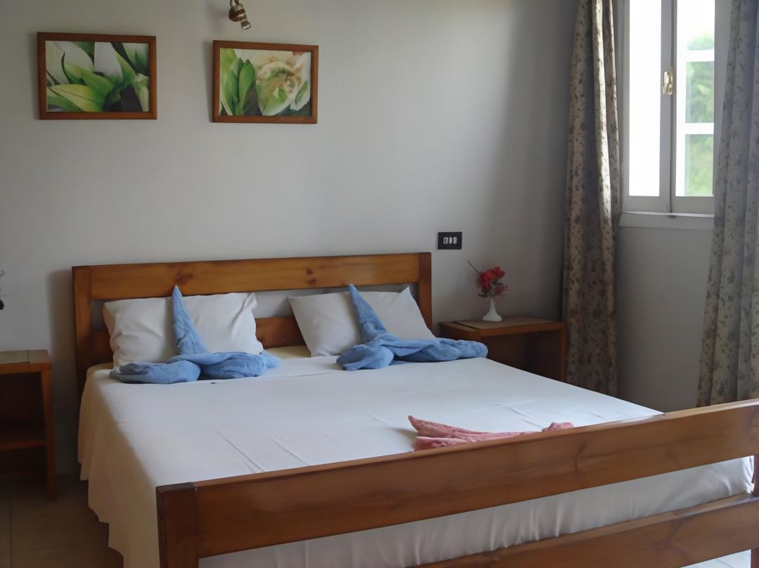 Amon Hotel - Luxor