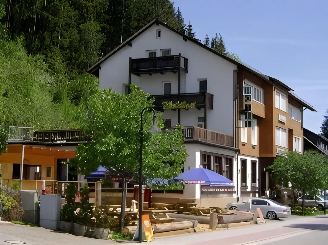 Action Forest Hotel - Kletterwald - Lasertag - Nähe Badeparadies - Titisee-Neustadt