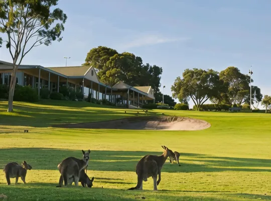 Tocumwal Early Settlers Motel - Tocumwal