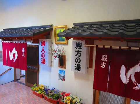 Hirasawaya Ryokan - Koriyama