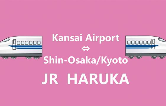 Nankai Electric Railway: Tickets, Map & How to Ride | Trip.com