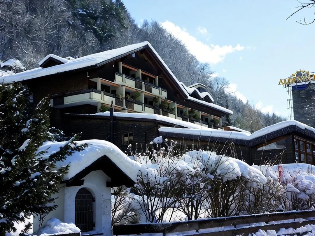 Aktiv & Spa Hotel Alpenrose - Montafon