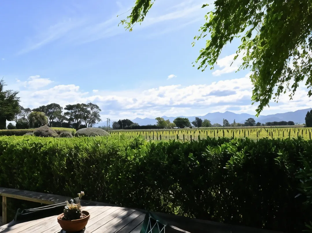 St Leonards Vineyard Cottages - New Zealand
