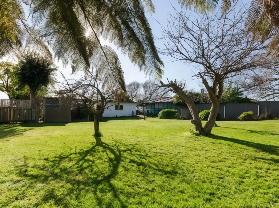 Sunrise At Penguin - Tasmania
