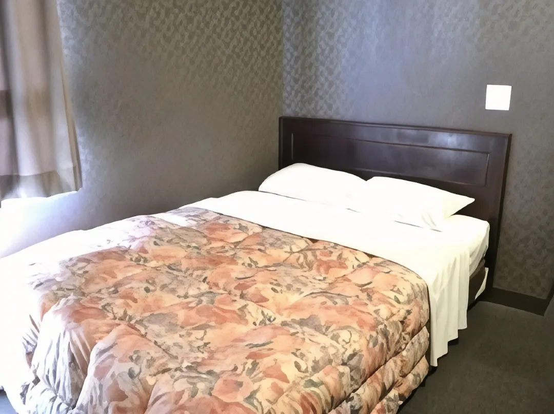 Hotel Sanada - Yonago