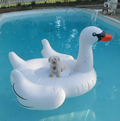 Scenic Haven - Wi-fi, Gorgeous Farm Views, Tranquil Setting - Germantown, MD