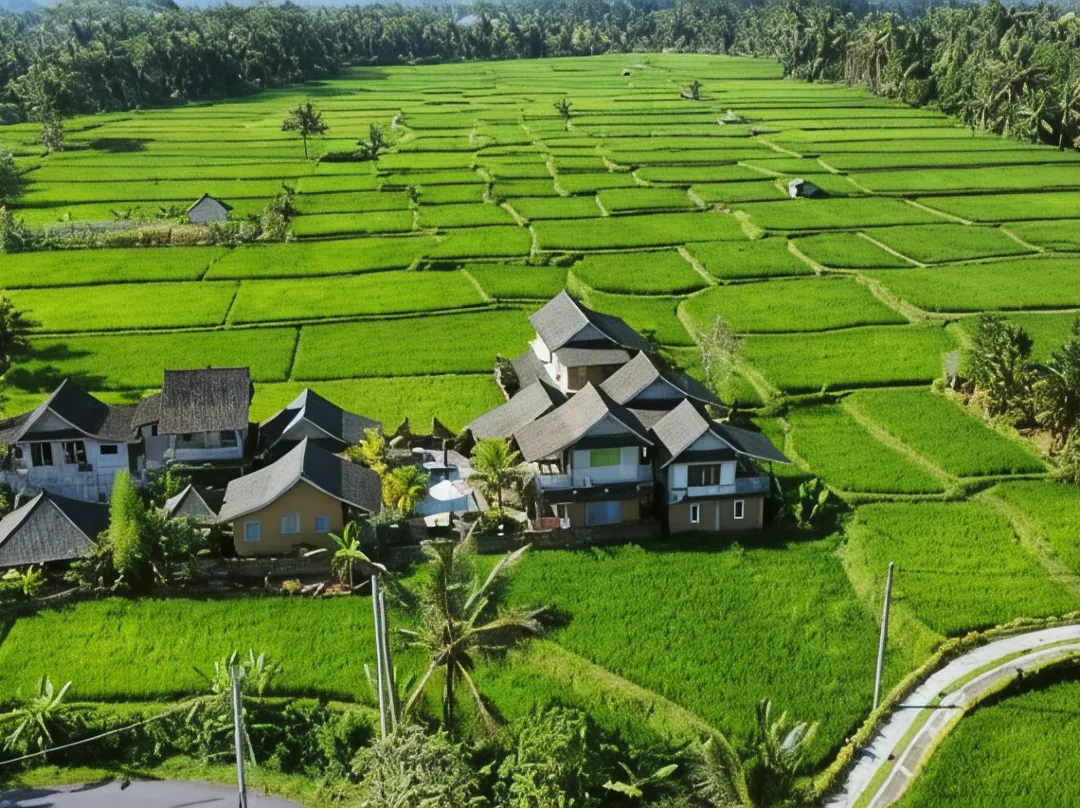Ananda Jj Ubud Resort & Spa - Ubud