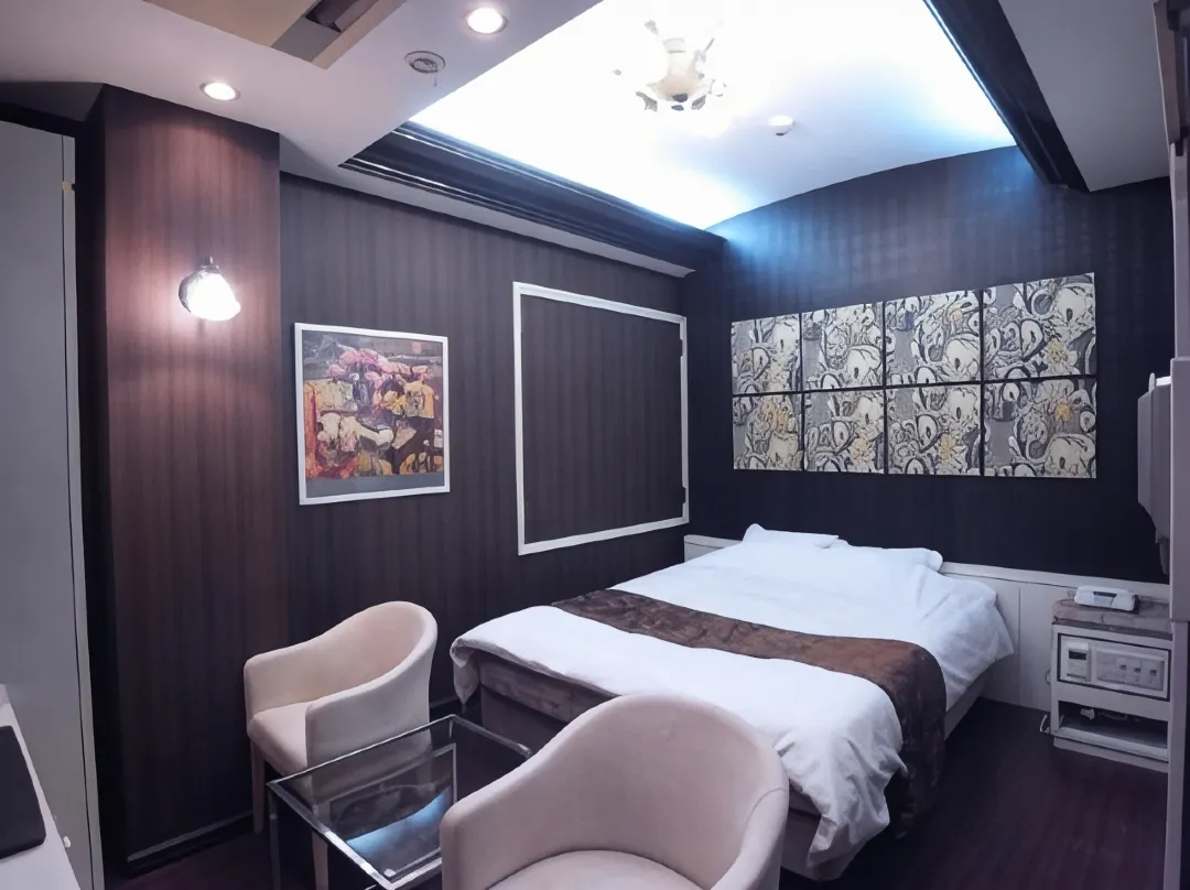 Hotel Carneval - Himeji