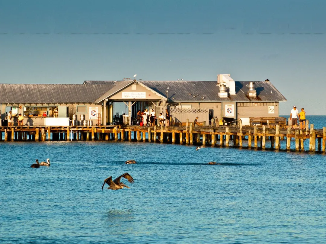 Brand New Pool And Scenic Lake View - Charming Tropical Oasis - Anna Maria Island, FL