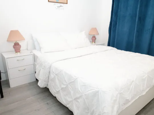 Christon Exotic Suite - A Homey Suite - Halifax