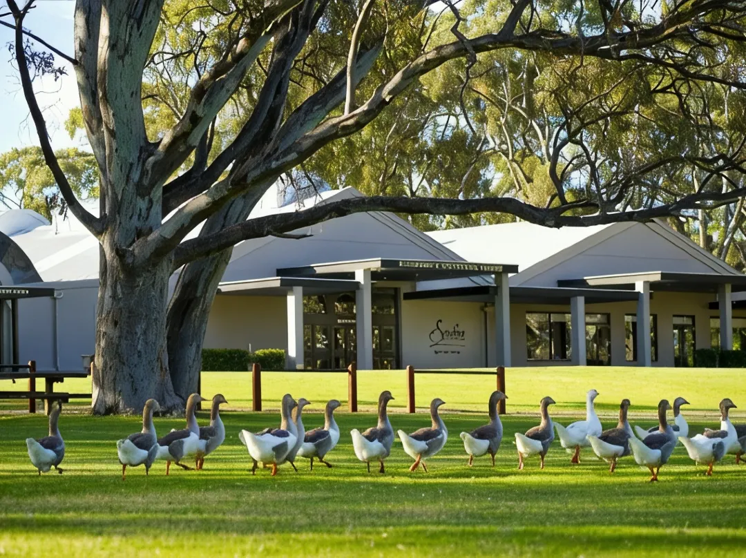 Serafino Mclaren Vale - McLaren Vale