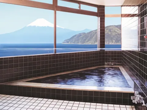 Minshuku New Shirasaka - Numazu