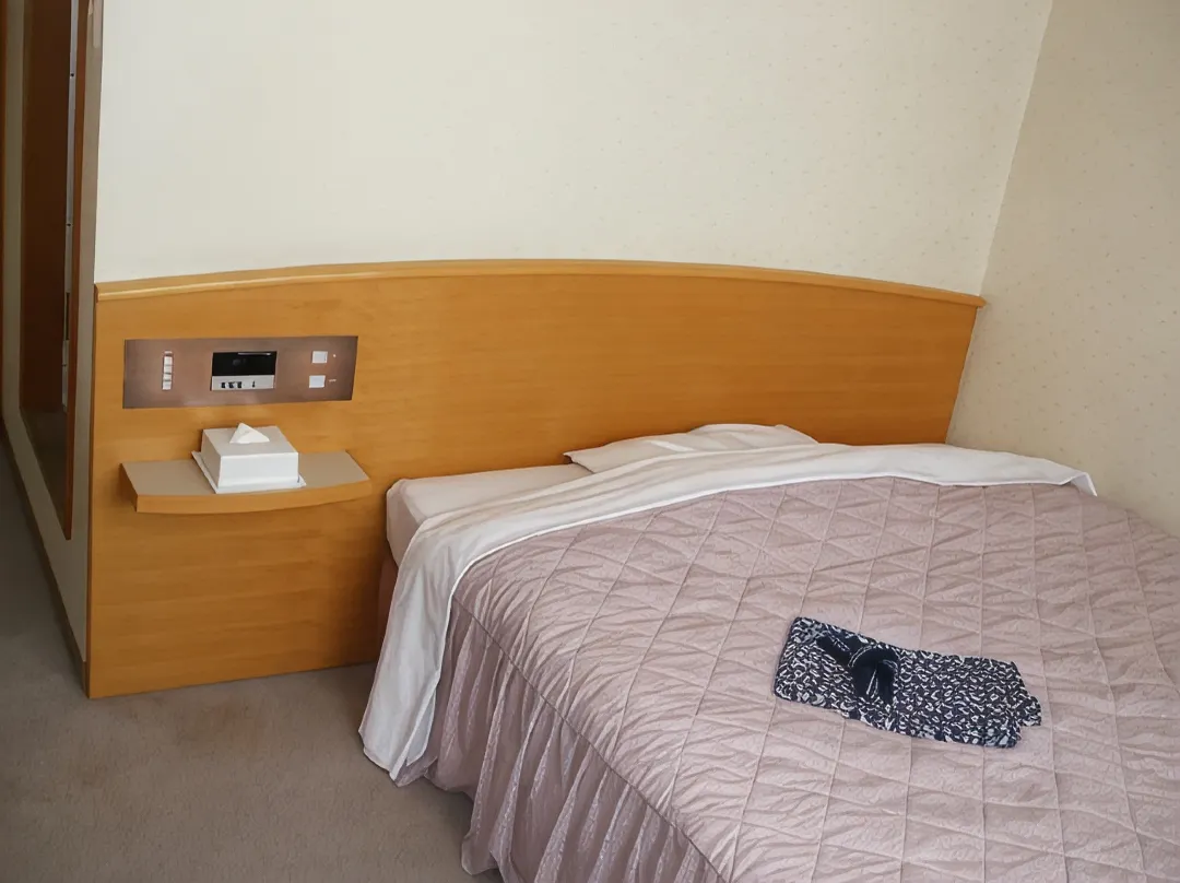 Hatago Tsuruya Hotel - Komoro