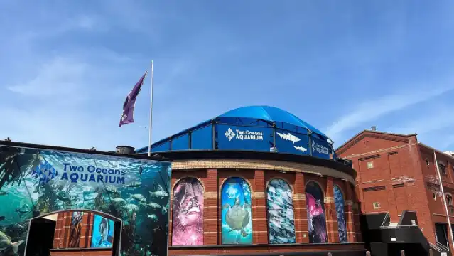 Two Oceans Aquarium World Birds & Wine Tasting Private Tour | Trip.com