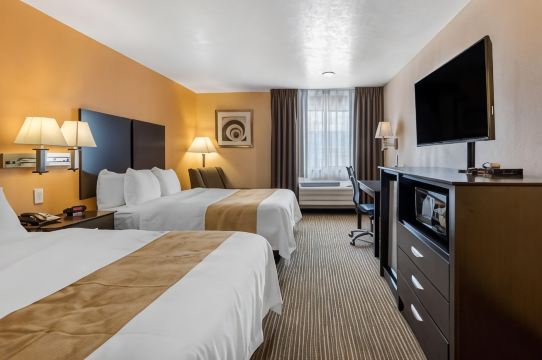 Quality Inn & Suites Albuquerque North near Balloon Fiesta Park Reviews ...