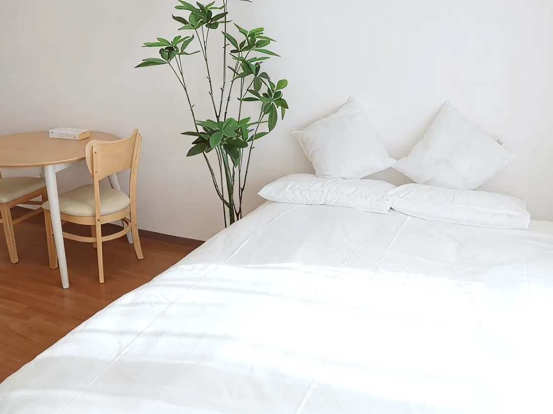 Ueno Area | 3 Min Walk To Iriya Station | Easy Airport Access | Elevator - Ueno