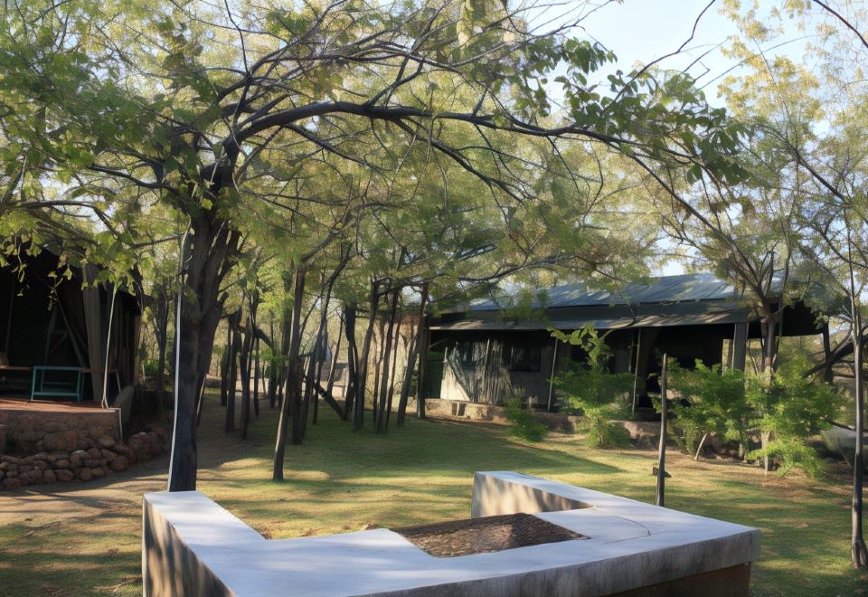 Warthogs Safari Camp, Kariba - 2025 Latest Prices & Deals | Trip.com