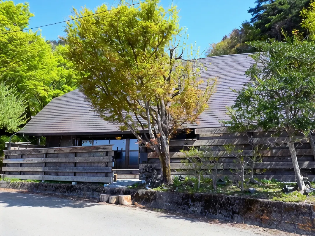Root Field - Fujikawaguchiko