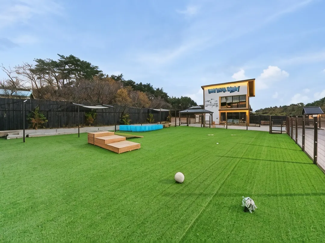 Gangneung Ryokan Sodolhyangho - 주문진읍