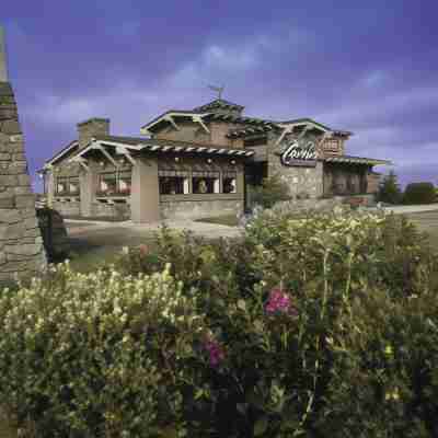 Latest Cavalier Oceanfront Resort Map,Address, Nearest Station ...