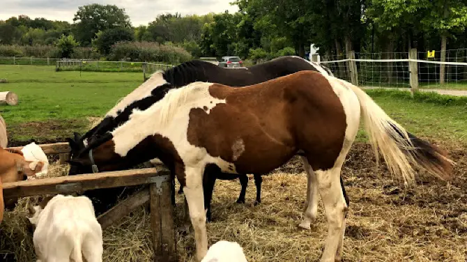 Parc-nature du Cap-Saint-Jacques ecological farm Tickets [2026 ...
