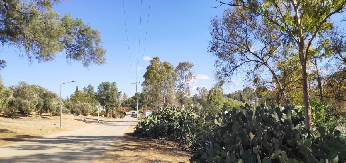 Kibbutz Ruhama Travel Guide 2026: Top Attractions, Things to Do & Deals ...