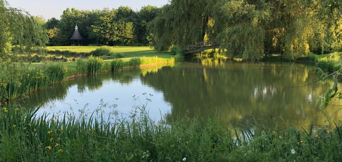 Fringford Travel Guide 2025: Top Attractions, Things to do & Itinerary ...