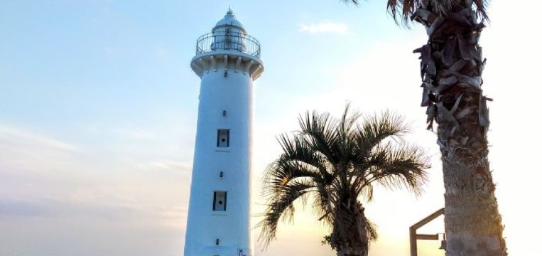 Things to Do in Chita District in 2025 - Top Attractions, Local Food ...