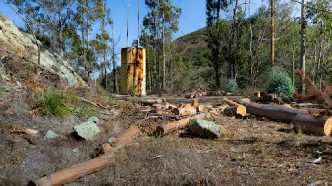 Waddell Ranch Picnic Area門票【2026】- 票券資訊、營業時間及評論｜Trip.com
