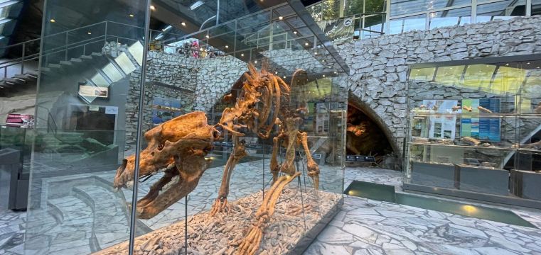 Things to do in Stronie SlAskie (2025): Top nearby activities,popular ...