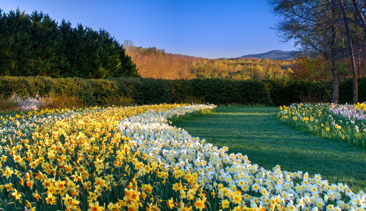 Top 10 Cherokee County Hotels with Pools | Trip.com