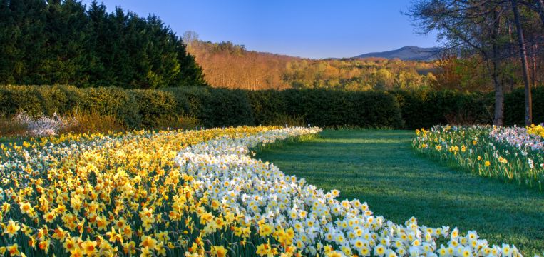 Cherokee County Travel Guide 2026: Top Attractions, Things to Do ...
