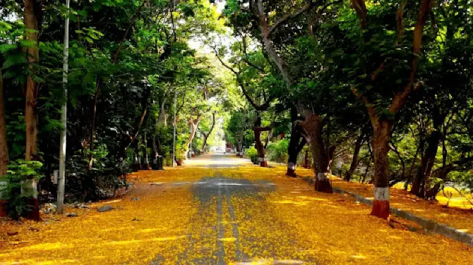 Chheda Nagar Reserved Forest Tickets [2026] - Promos, Prices, Reviews ...