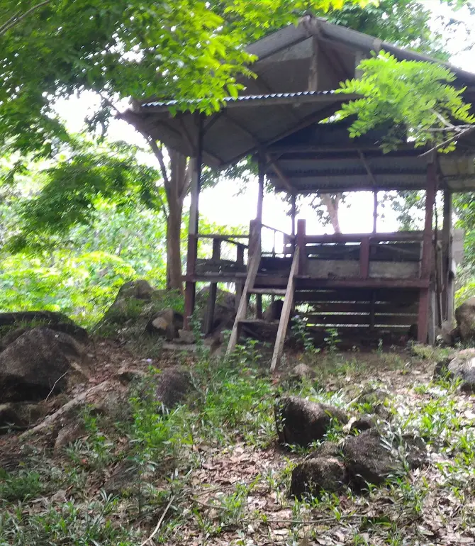 Kelapa Kampit的自由行攻略 (2025)：附近的熱門活動、人氣景點、行程安排、住宿、美食、交通、天氣，以及更多旅遊必備資訊 ...