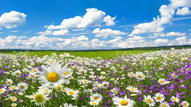 MY DREAM'S SPA AND MASSAGE Tickets [2025] - Promos, Prices, Reviews ...