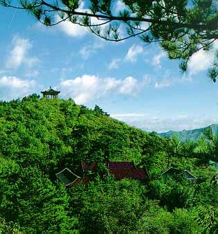 Qingfeng Lvyu Park Tickets [2026] - Promos, Prices, Reviews & Opening ...