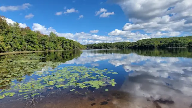 American beeches’ rapids sector beach Tickets [2026] - Promos, Prices ...