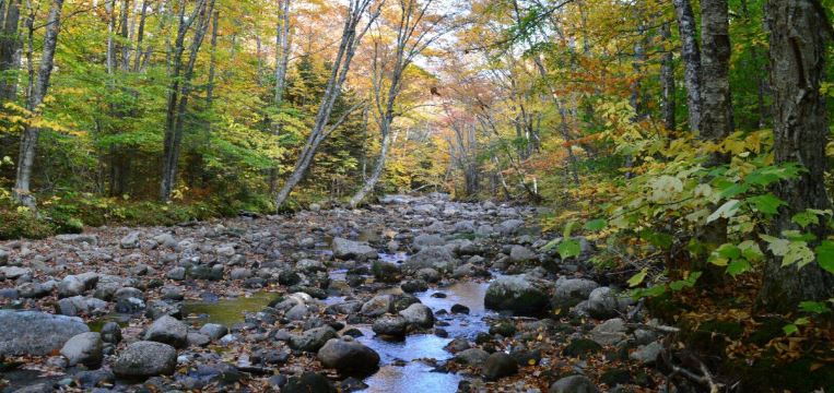 Sandy River Travel Guide 2026: Top Attractions, Things to Do & Deals ...